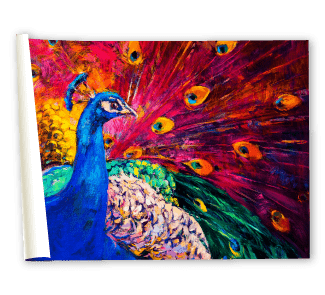 Rolled Canvas Prints | Printing On Canvas | Rolled Canvas Printing