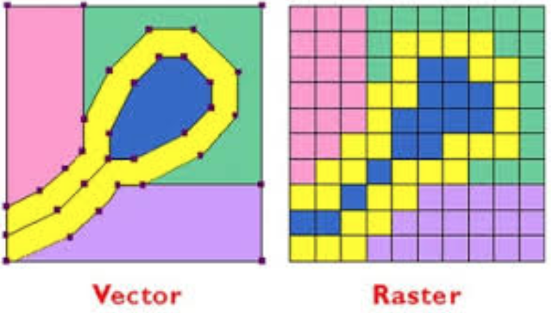 Rasterized vs Vector Files | Must Read!